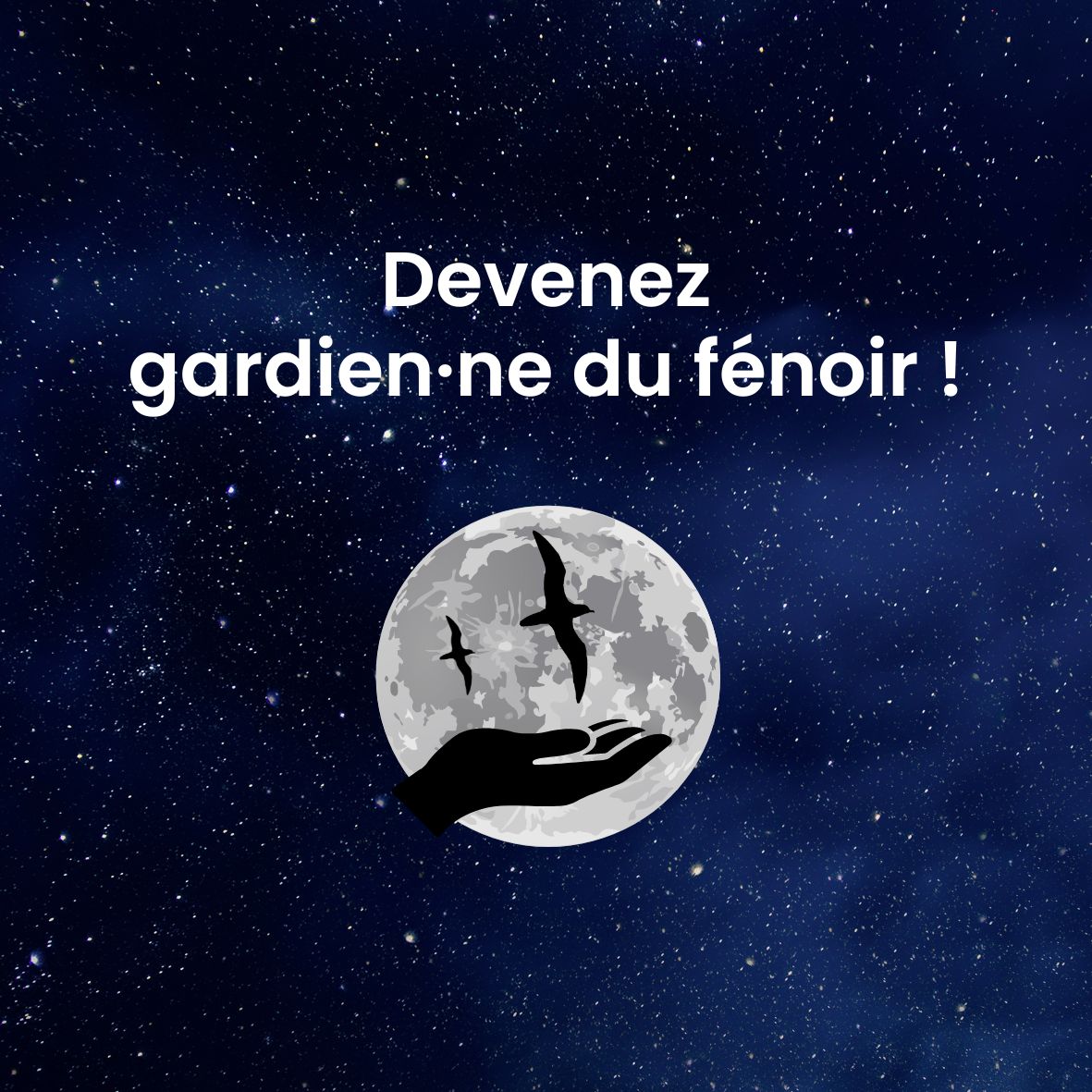 Agir contre les éclairages illégaux : Devenez gardien·ne du fénoir